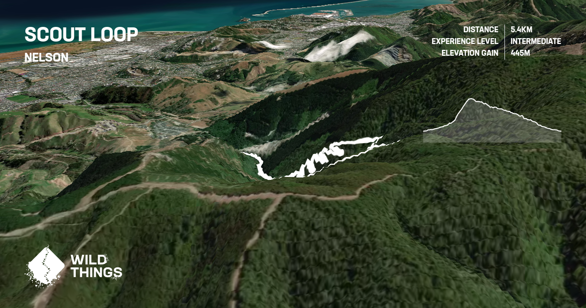 Scout loop, Nelson, New Zealand - Trail Running Directory - Wild Things