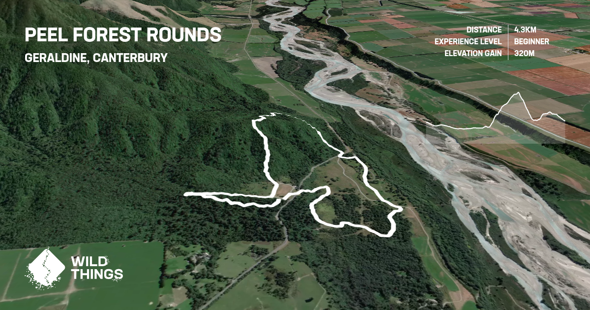 Peel Forest Rounds, Canterbury, New Zealand - Trail Running Directory ...