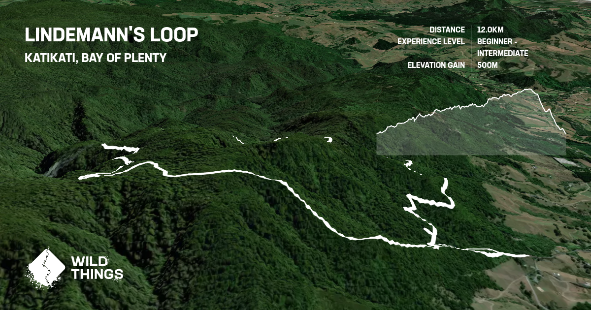 Lindemann's Loop, Bay of Plenty, New Zealand - Trail Running Directory ...