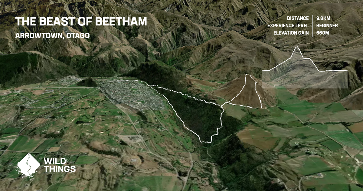 The Beast of Beetham, Otago, New Zealand - Trail Running Directory ...