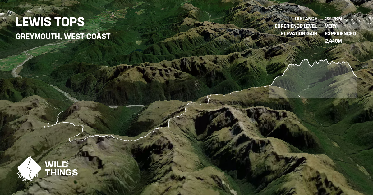 Lewis Tops, West Coast, New Zealand - Trail Running Directory - Wild Things