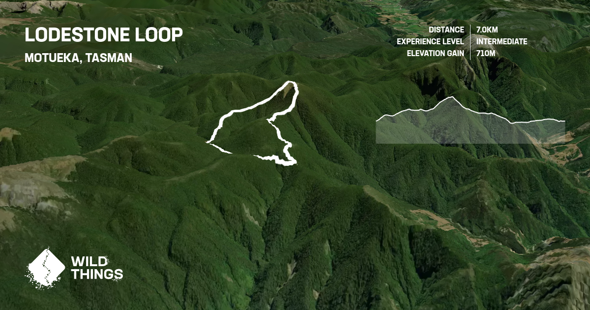 Lodestone Loop, Tasman, New Zealand - Trail Running Directory - Wild Things