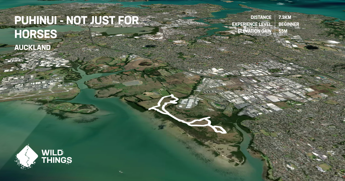 Puhinui - not just for Horses, Auckland, New Zealand - Trail Running ...