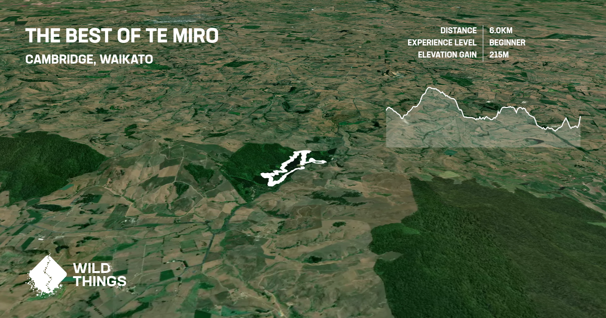 The Best of Te Miro, Waikato, New Zealand - Trail Running Directory ...