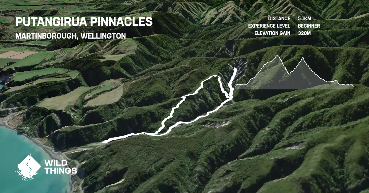Putangirua Pinnacles, Wellington, New Zealand - Trail Running Directory ...