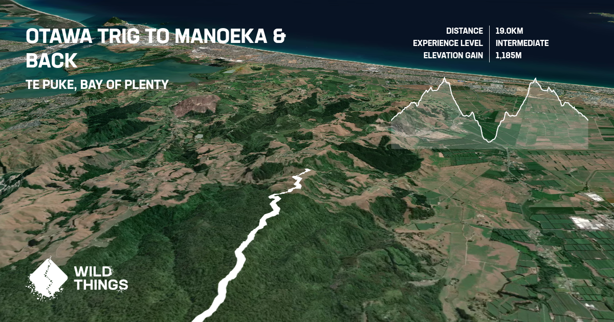 Otawa trig to Manoeka & back, Bay of Plenty, New Zealand - Trail ...