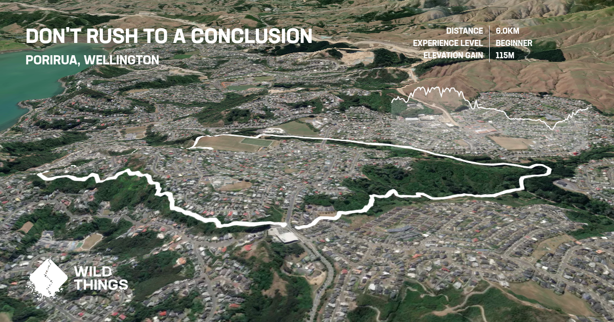 Don't rush to a Conclusion, Wellington, New Zealand - Trail Running ...