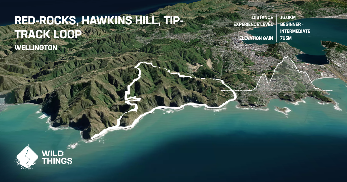 Red-Rocks, Hawkins Hill, Tip-Track Loop, Wellington, New Zealand ...
