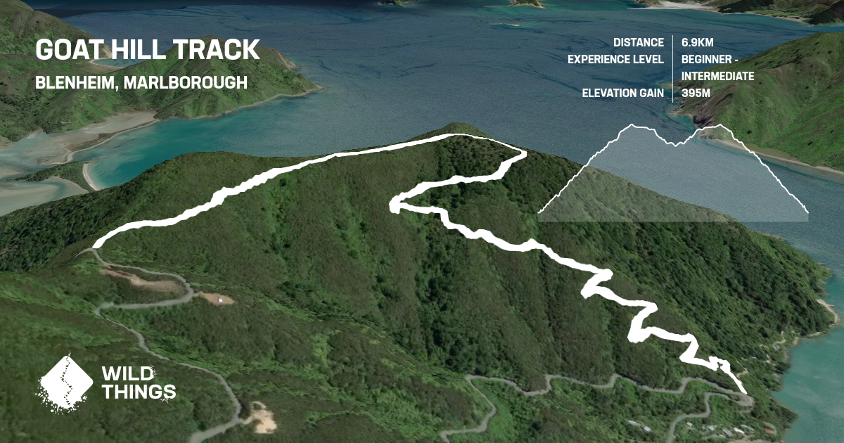 Goat Hill Track, Marlborough, New Zealand - Trail Running Directory ...