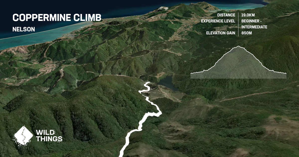 Coppermine Climb, Nelson, New Zealand - Trail Running Directory - Wild ...