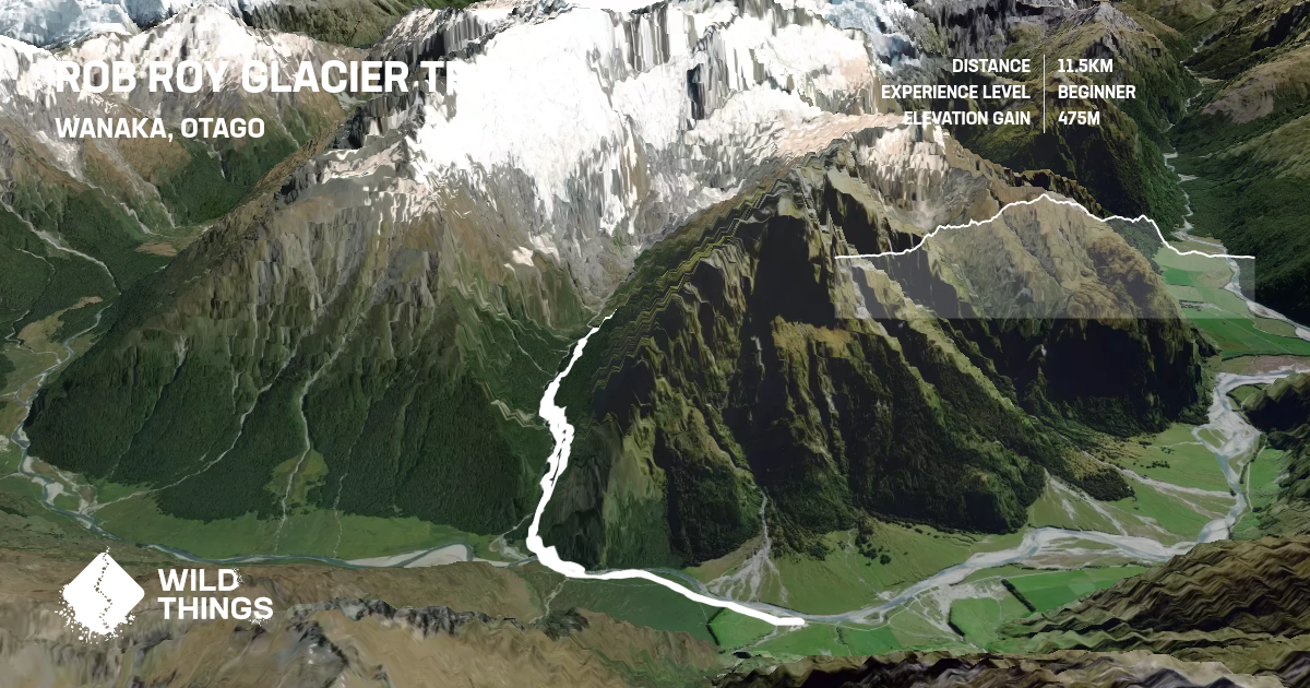 Rob Roy Glacier Track, Otago, New Zealand - Trail Running Directory ...