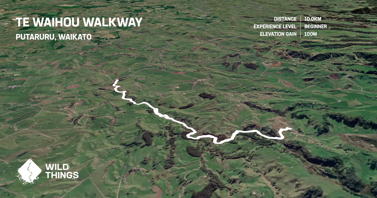 Te Waihou Walkway, Waikato, New Zealand - Trail Running Directory ...