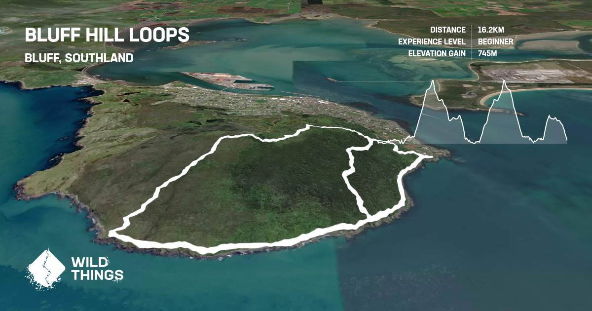 Bluff Hill Loops, Southland, New Zealand - Trail Running Directory ...