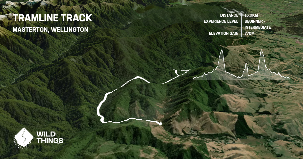 Tramline track, Wellington, New Zealand - Trail Running Directory ...