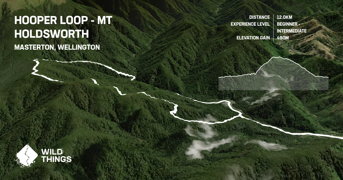 Hooper Loop - Mt Holdsworth, Wellington, New Zealand - Trail Running ...