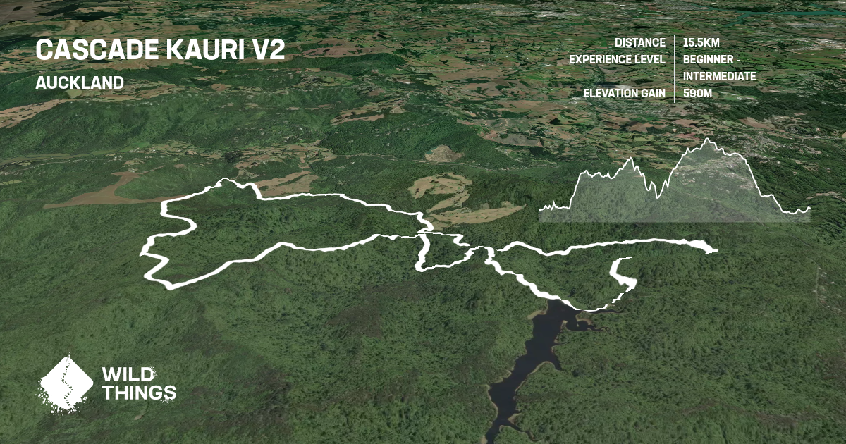 Cascade Kauri V2, Auckland, New Zealand - Trail Running Directory ...