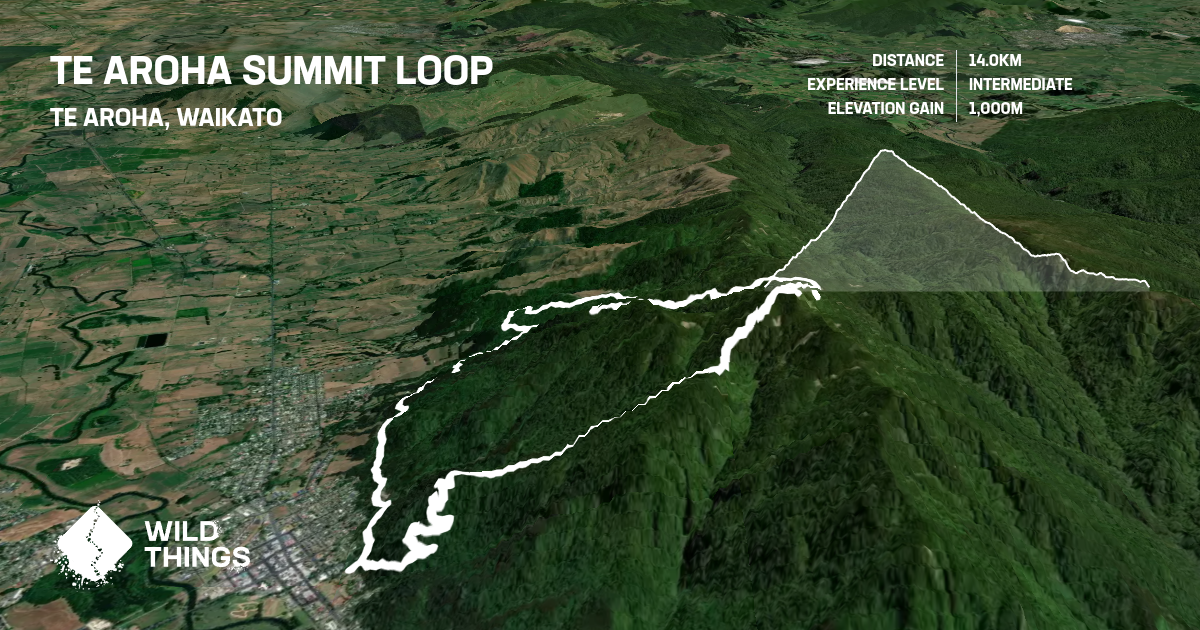 Te Aroha Summit Loop, Waikato, New Zealand - Trail Running Directory - Wild Things