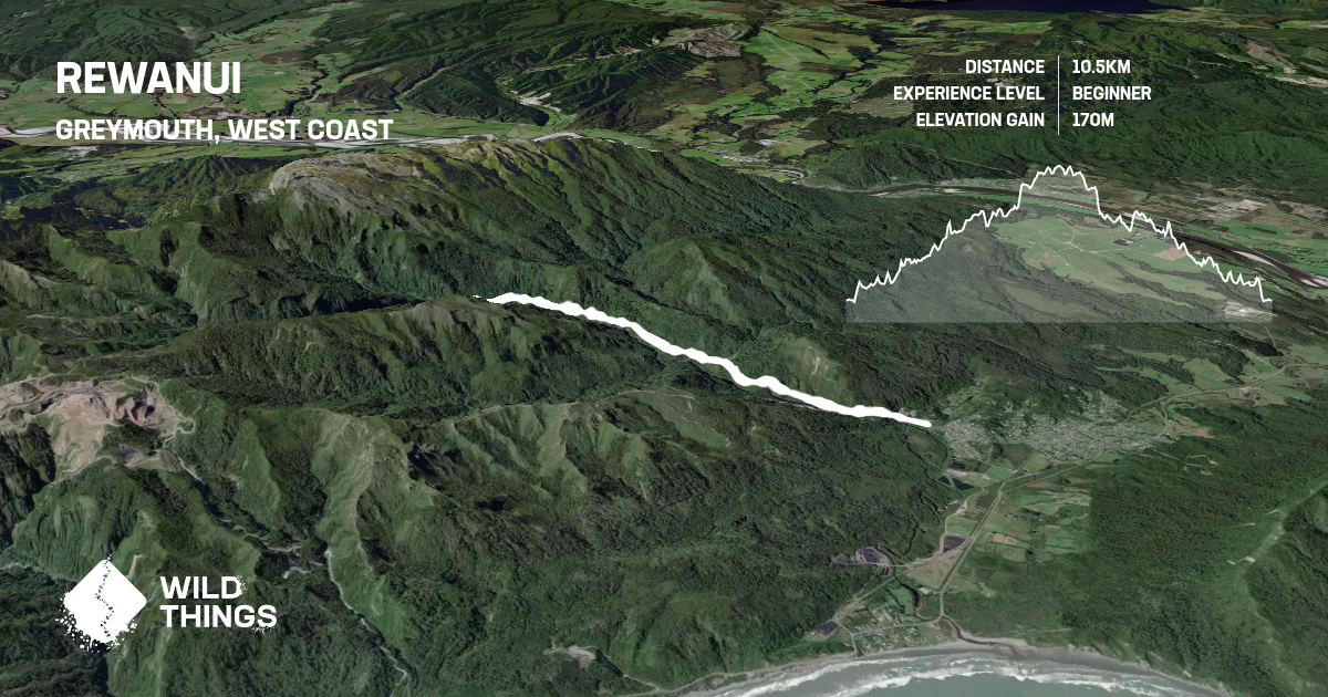 Rewanui, West Coast, New Zealand - Trail Running Directory - Wild Things