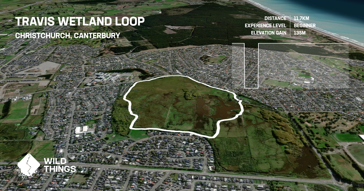 Travis Wetland Loop, Canterbury, New Zealand - Trail Running Directory ...