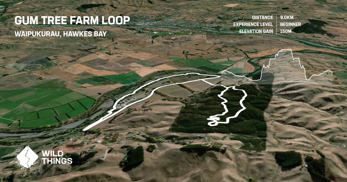 Gum Tree Farm Loop, Hawkes Bay, New Zealand - Trail Running Directory ...