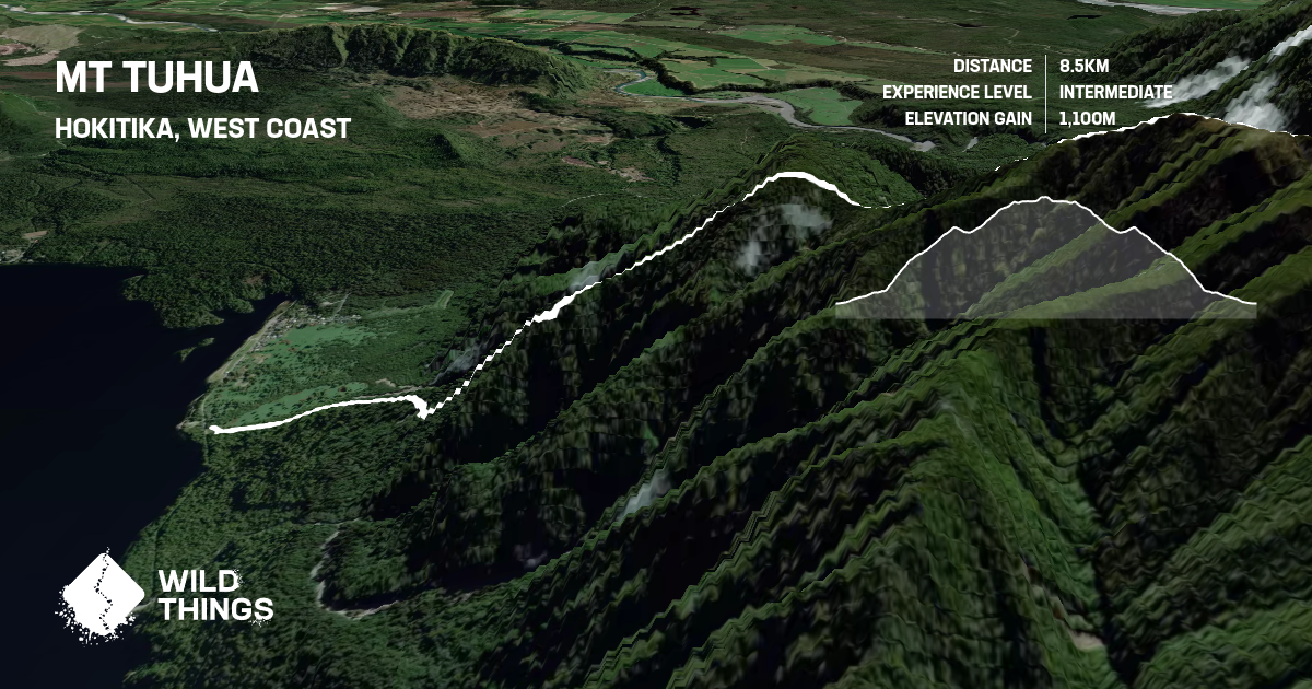 Mt Tuhua, West Coast, New Zealand - Trail Running Directory - Wild Things