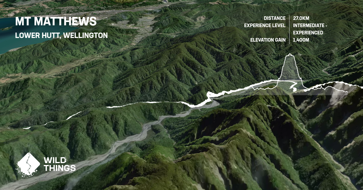 Mt Matthews, Wellington, New Zealand - Trail Running Directory - Wild ...