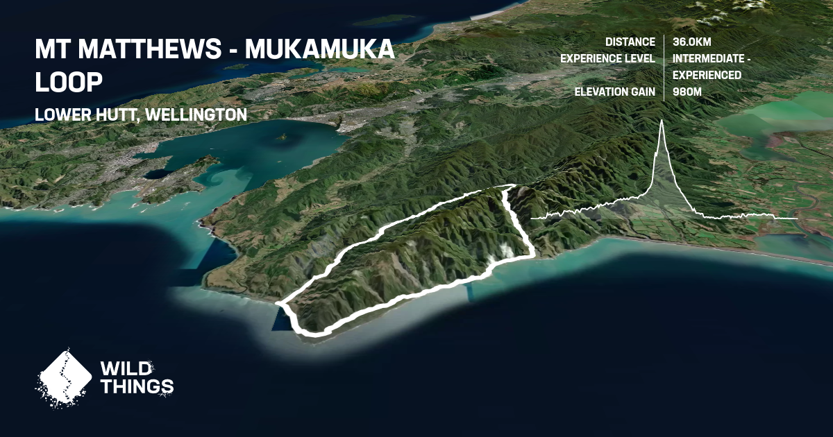 Mt Matthews - Mukamuka Loop, Wellington, New Zealand - Trail Running ...