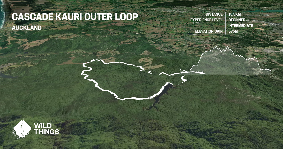 Cascade Kauri Outer Loop, Auckland, New Zealand - Trail Running ...