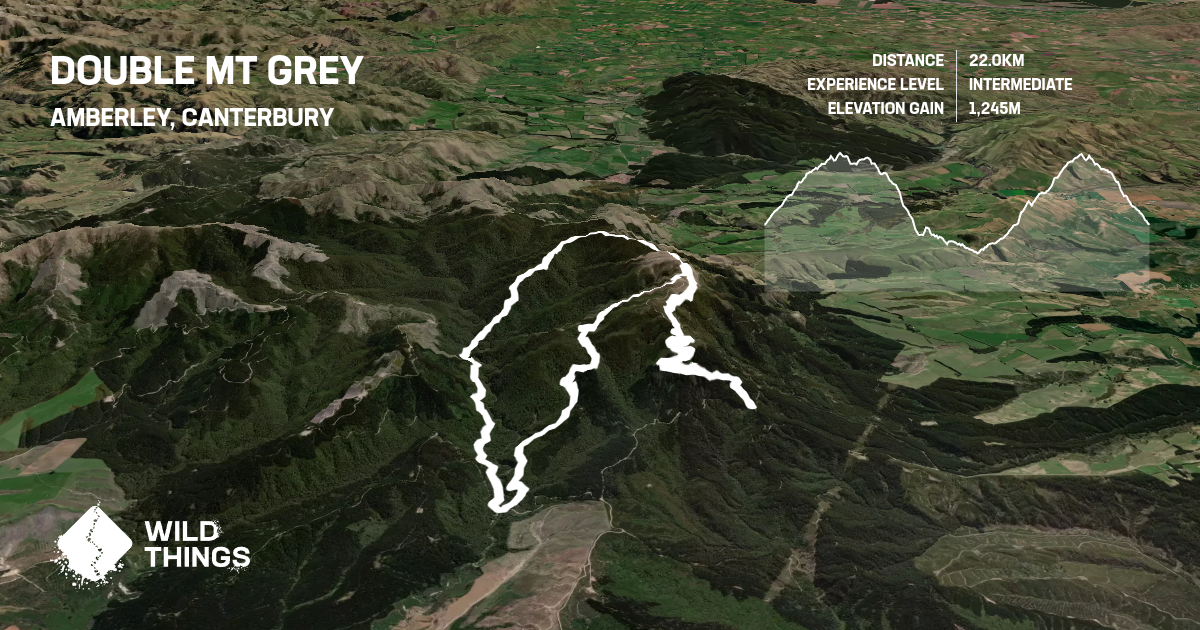 Double Mt Grey, Canterbury, New Zealand - Trail Running Directory ...