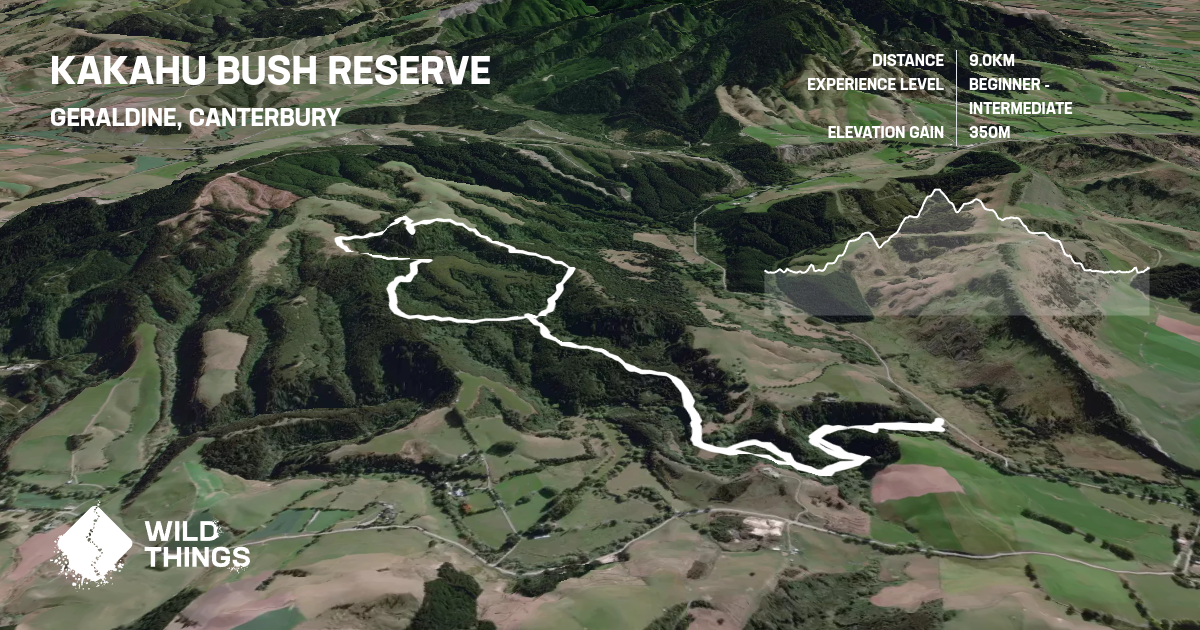 Kakahu Bush Reserve, Canterbury, New Zealand - Trail Running Directory ...
