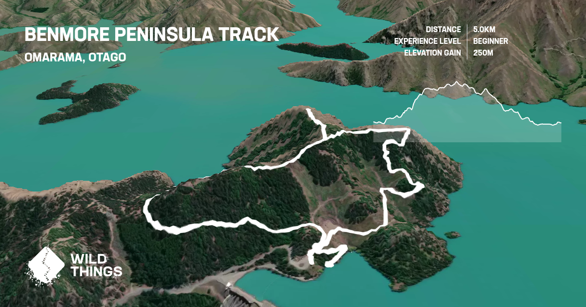 Benmore Peninsula Track , Otago, New Zealand - Trail Running Directory ...