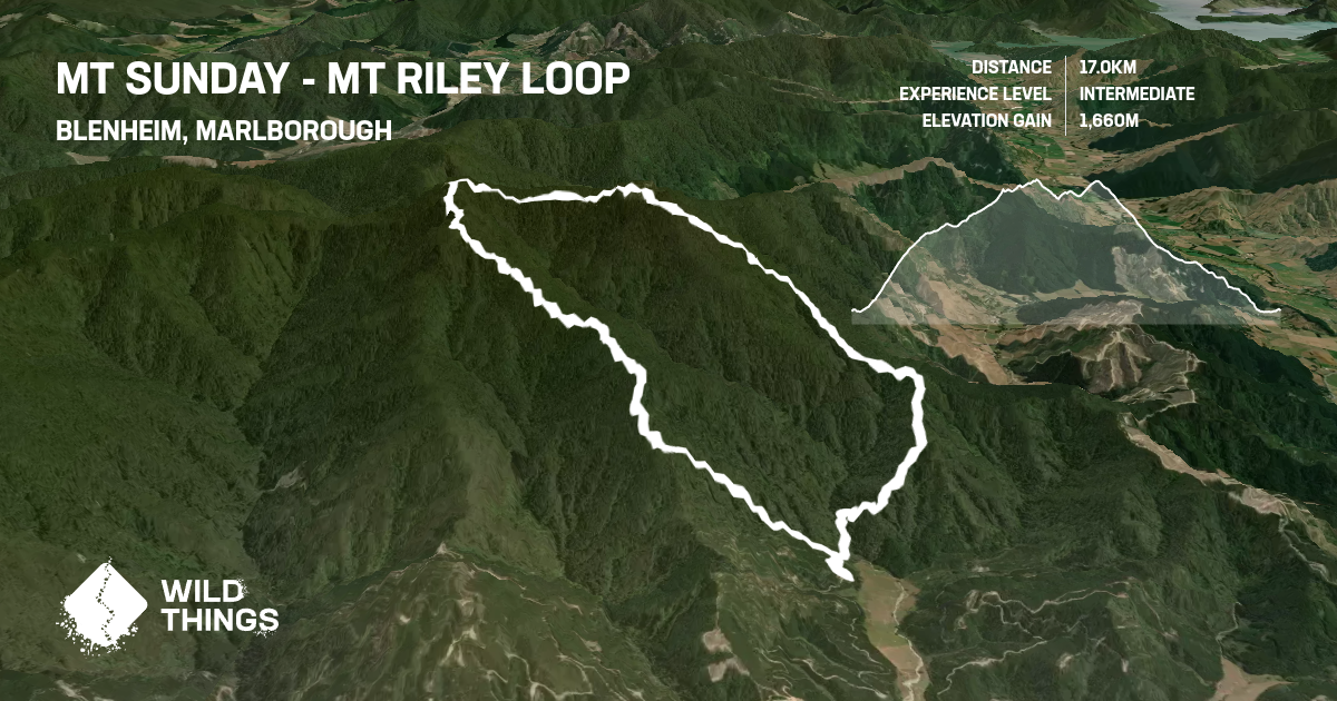 Mt Sunday - Mt Riley Loop, Marlborough, New Zealand - Trail Running ...