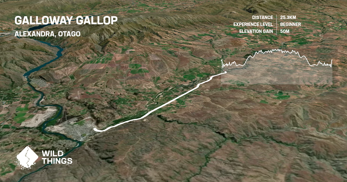 Galloway Gallop, Otago, New Zealand - Trail Running Directory - Wild Things