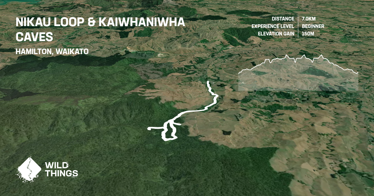 Nikau Loop & Kaiwhaniwha Caves, Waikato, New Zealand - Trail Running ...