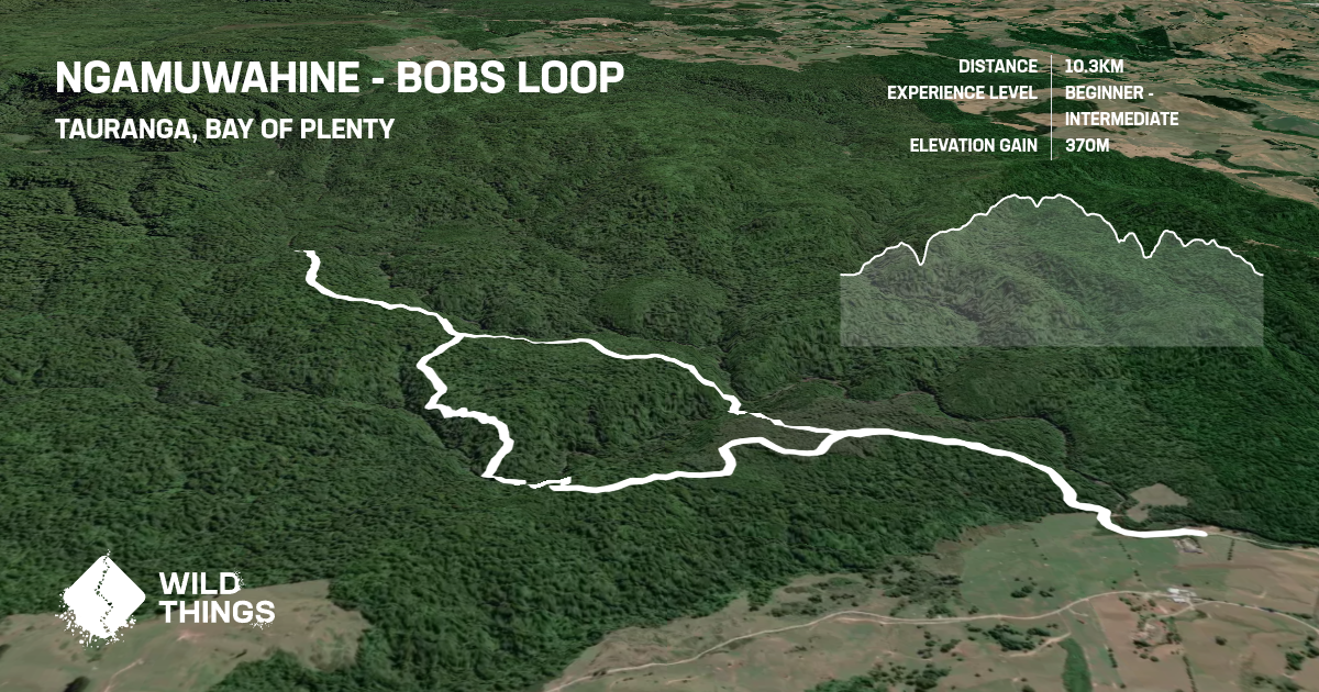 Ngamuwahine - Bobs Loop, Bay of Plenty, New Zealand - Trail Running ...