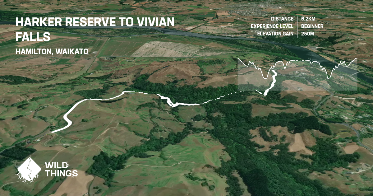 Harker Reserve to Vivian Falls, Waikato, New Zealand - Trail Running ...