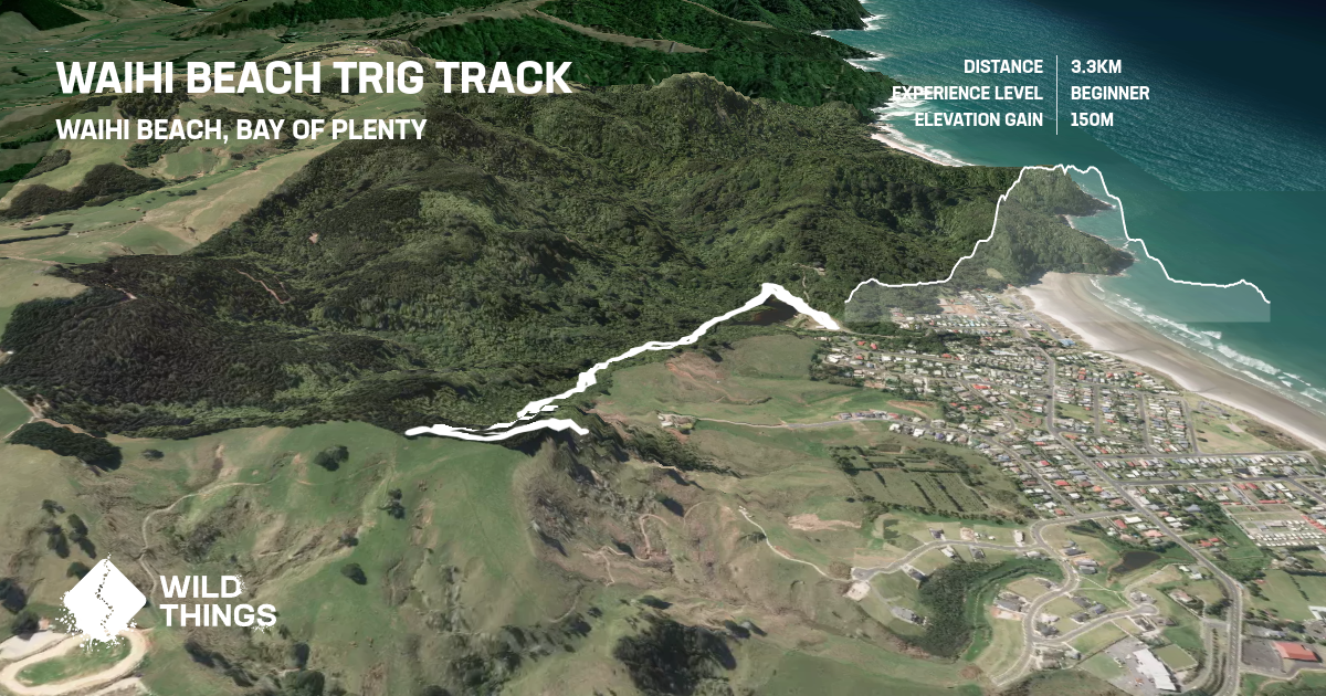 Waihi Beach Trig Track, Bay of Plenty, New Zealand - Trail Running ...