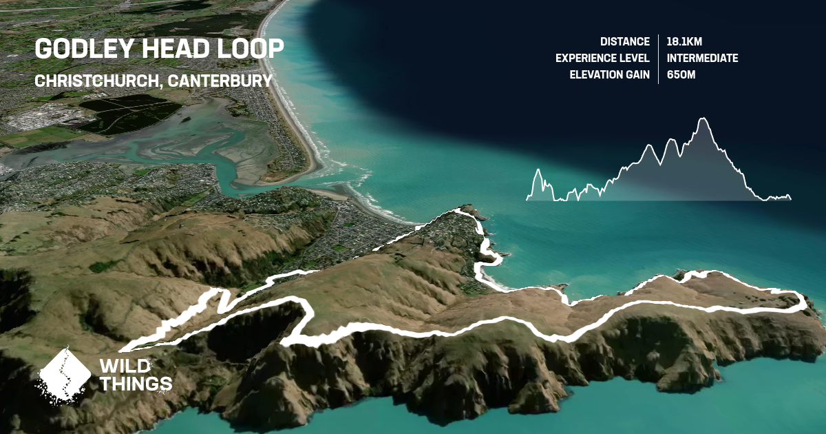 Godley Head loop, Canterbury, New Zealand - Trail Running Directory ...