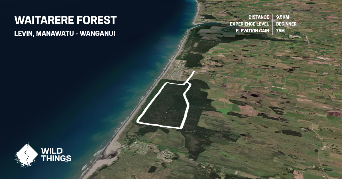 Waitarere Forest, Manawatu - Wanganui, New Zealand - Trail Running Directory - Wild Things