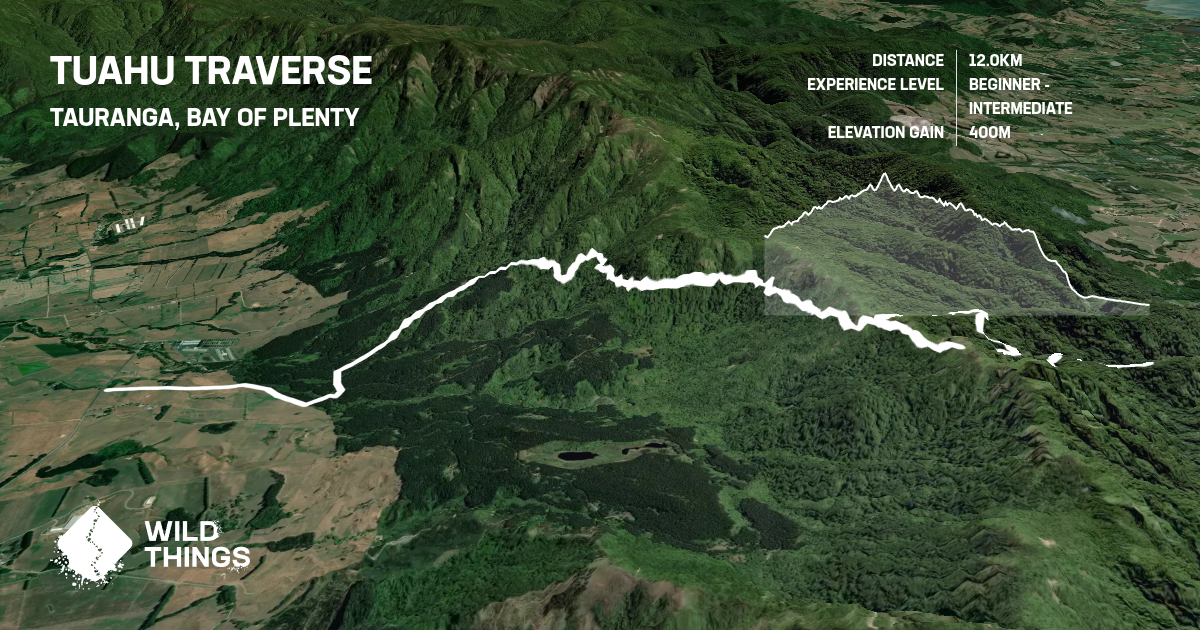Tuahu Traverse, Bay of Plenty, New Zealand - Trail Running Directory ...