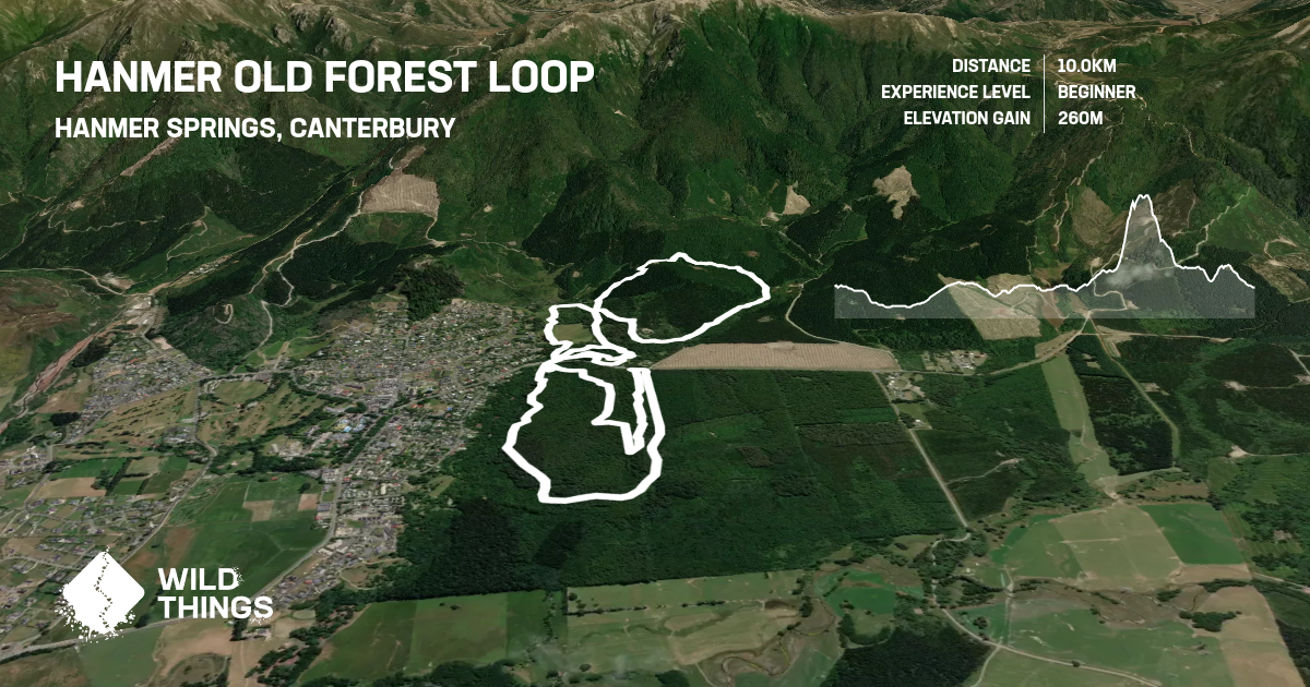 Hanmer Old Forest Loop, Canterbury, New Zealand - Trail Running ...