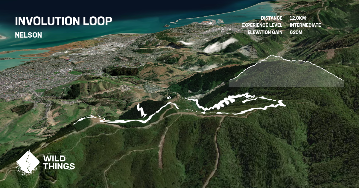 Involution Loop, Nelson, New Zealand - Trail Running Directory - Wild ...