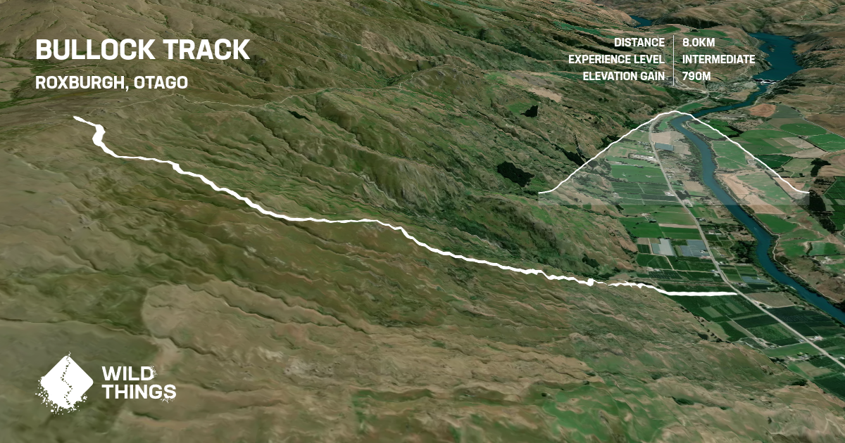 Bullock Track , Otago, New Zealand - Trail Running Directory - Wild Things