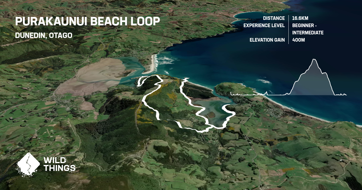 Purakaunui Beach Loop, Otago, New Zealand - Trail Running Directory ...