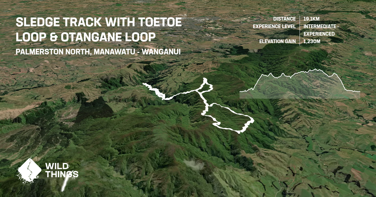 Sledge Track with Toetoe Loop & Otangane Loop, Manawatu - Wanganui, New ...