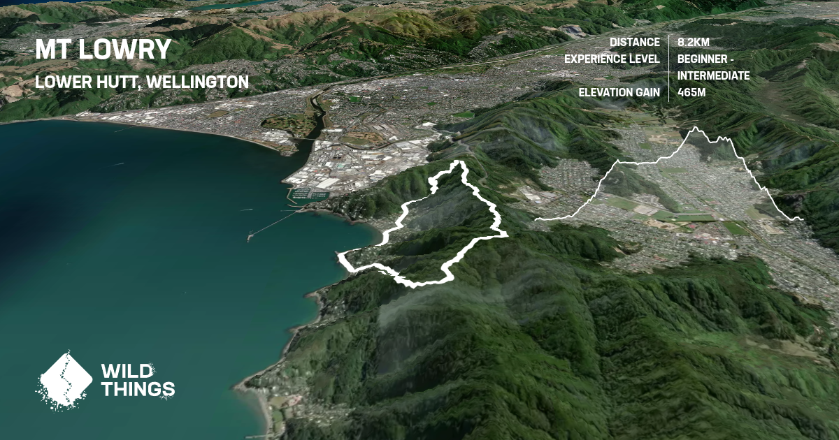 Mt Lowry, Wellington, New Zealand - Trail Running Directory - Wild Things