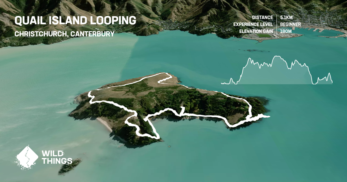 Quail Island Looping, Canterbury, New Zealand - Trail Running Directory ...