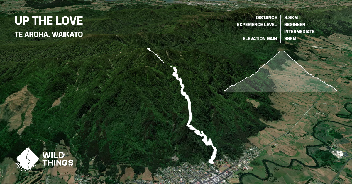 Up the Love, Waikato, New Zealand - Trail Running Directory - Wild Things