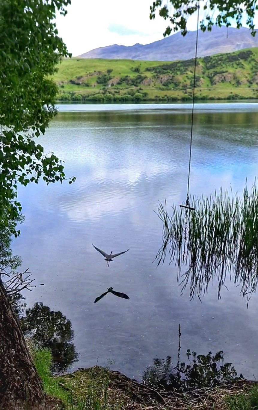 Lake Hayes Circuit, Otago - Trails Photo Gallery - Wild Things