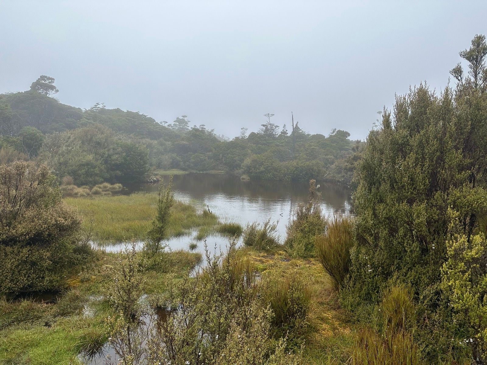 Dew Lakes Climb, Nelson - Trails Photo Gallery - Wild Things